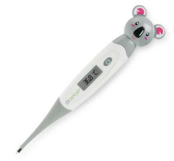 Health Management and Leadership Portal | Pediatric thermometer ...