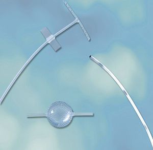 Health Management and Leadership Portal | Shunt carotid Sundt™ INTEGRA ...