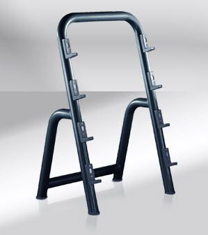 Health Management and Leadership Portal | Long barbell rack Element ...