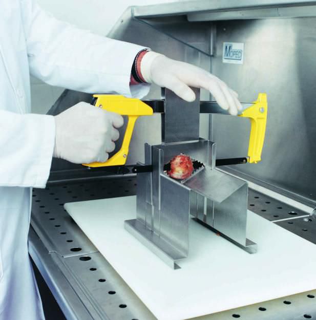 Health Management and Leadership Portal | Electric autopsy saw ZawBones ...