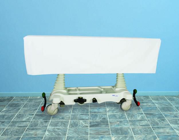 Health Management and Leadership Portal | Dissection table / ventilated ...