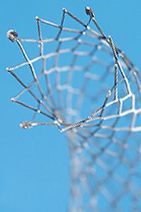 Health Management and Leadership Portal | Biliary stent / nitinol ...