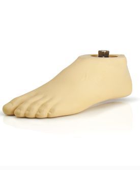Health Management and Leadership Portal | Foot prosthesis (lower ...