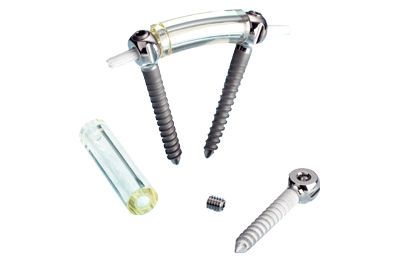 Health Management and Leadership Portal | Cervico-thoraco-lumbo-sacral ...