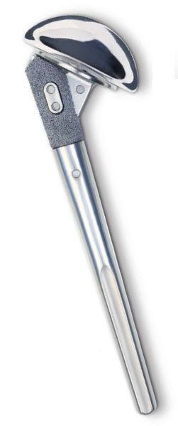 Health Management and Leadership Portal | Traditional humeral stem ...