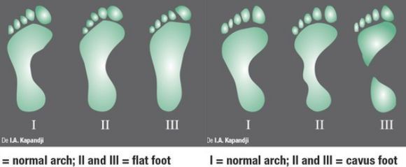 Health Management and Leadership Portal | Podoscope fluorescent 46 x 55 ...