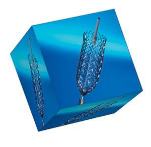 Health Management and Leadership Portal | Catheter guidewire ...