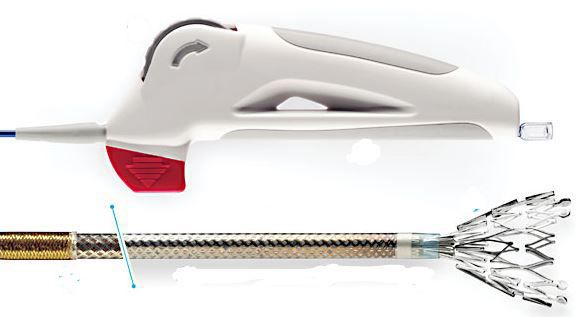 Health Management and Leadership Portal | Peripheral stent / with ...