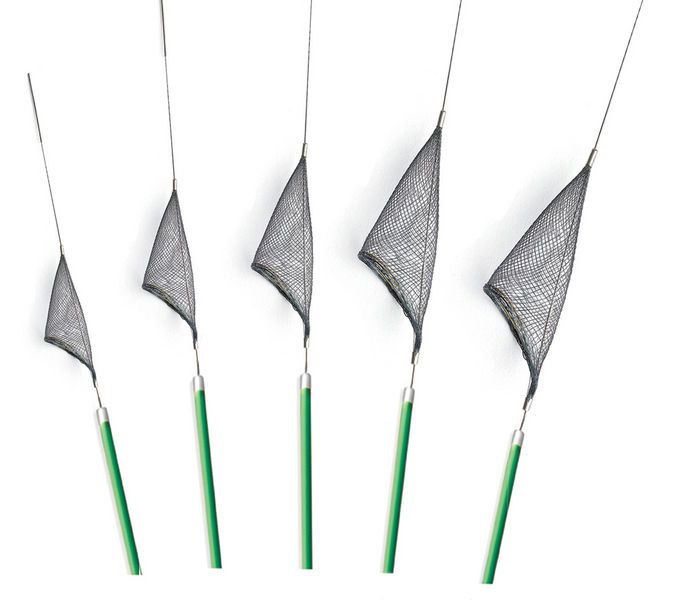 Health Management and Leadership Portal | Embolic protection system ...