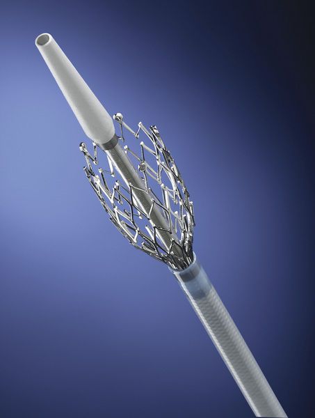 Health Management and Leadership Portal | Peripheral stent / nitinol ...