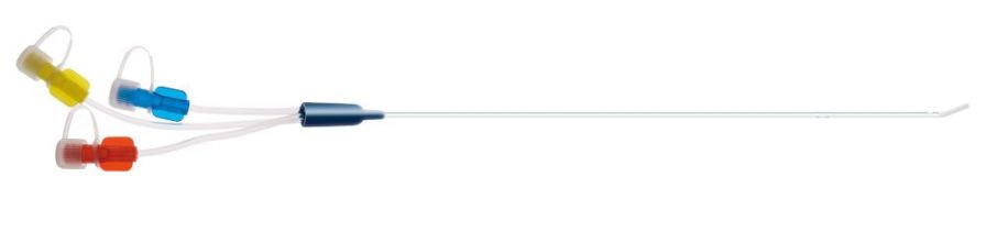 Health Management and Leadership Portal | Nephrostomy catheter ...