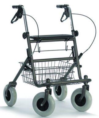 Health Management and Leadership Portal | 4-caster rollator / with seat ...