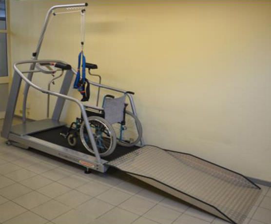 Health Management and Leadership Portal | Treadmill with harness ...