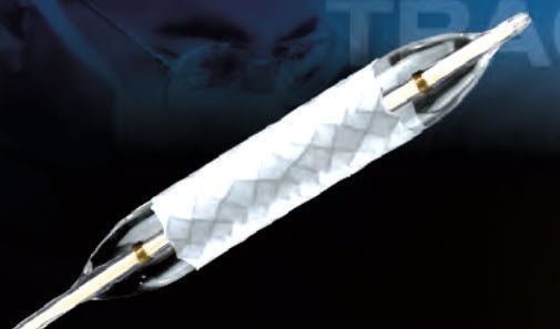 Health Management and Leadership Portal | Peripheral stent / PTFE ICAST ...