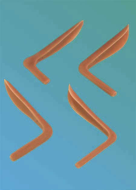 Health Management and Leadership Portal | Chin cosmetic implant ...