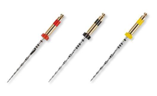 Health Management and Leadership Portal | Gutta Percha root canal ...