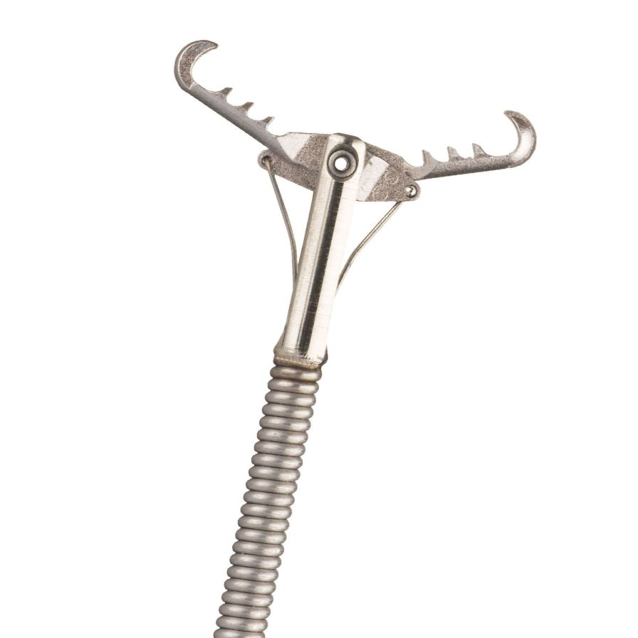 Health Management And Leadership Portal Endoscopic Forceps Grasping Raptor® Us Endoscopy