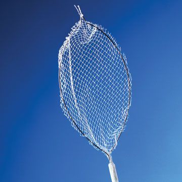 Health Management and Leadership Portal | Not specified endoscopic ...