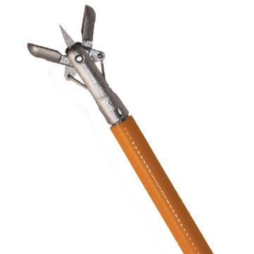 Health Management and Leadership Portal | Endoscopic forceps / grasping ...