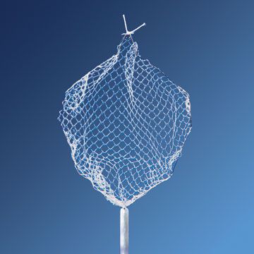 Health Management and Leadership Portal | Polypectomy loop iSnare® US ...