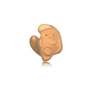 Health Management and Leadership Portal | Full shell (ITE) hearing aid ...