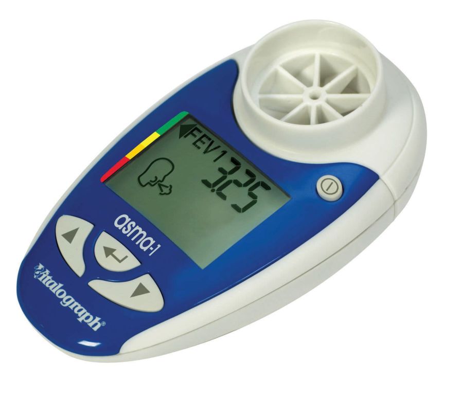 Health Management and Leadership Portal | Electronic peak flow meter ...