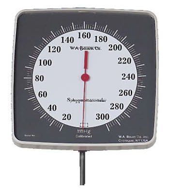 Health Management and Leadership Portal | Mercury sphygmomanometer ...