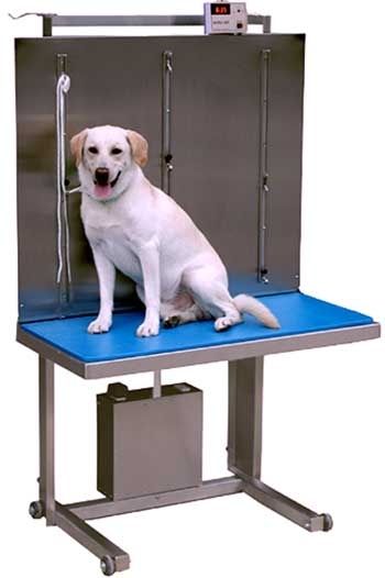 Health Management and Leadership Portal | Veterinary examination table ...