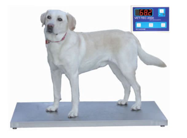 Health Management and Leadership Portal | Veterinary lift table for ...