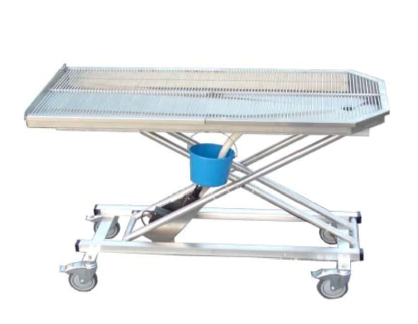 Health Management and Leadership Portal | Veterinary examination table ...