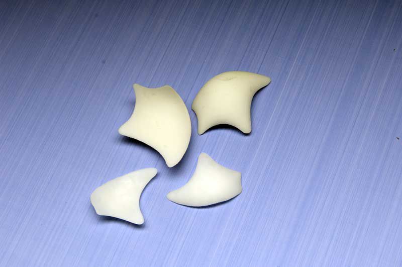 Health Management and Leadership Portal | Chin cosmetic implant ...