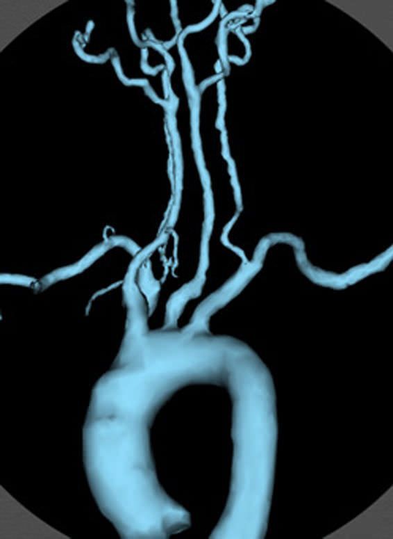 Health Management and Leadership Portal | Urinary endoscopy training ...