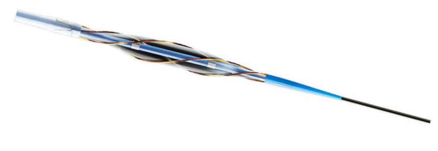 Health Management and Leadership Portal | Laser ablation catheter Turbo ...