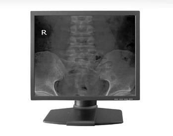 Health Management and Leadership Portal | Monochrome display / medical ...