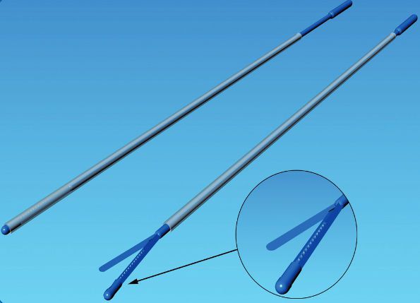 Health Management and Leadership Portal | Cytologic sampling device ...