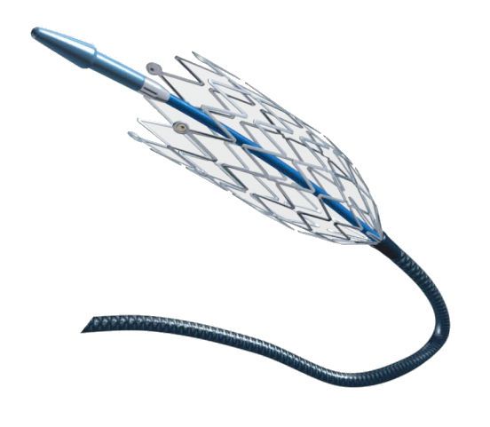 Health Management and Leadership Portal | Coronary stent / cobalt ...
