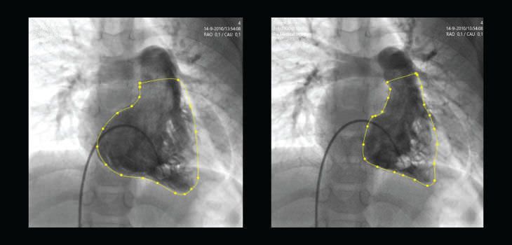 Health Management and Leadership Portal | Reporting software / analysis ...