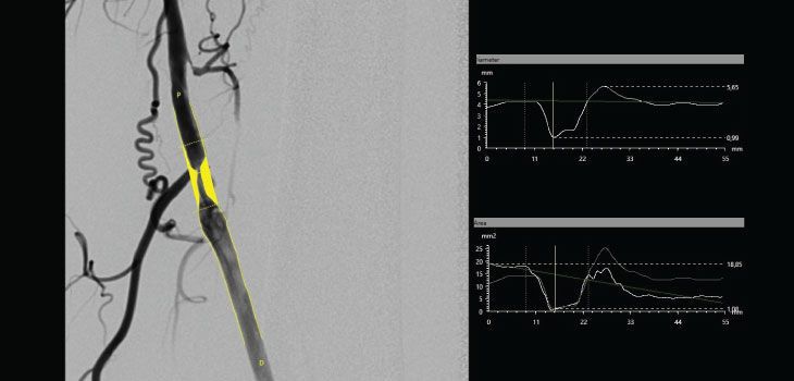 Health Management and Leadership Portal | Reporting software / analysis ...