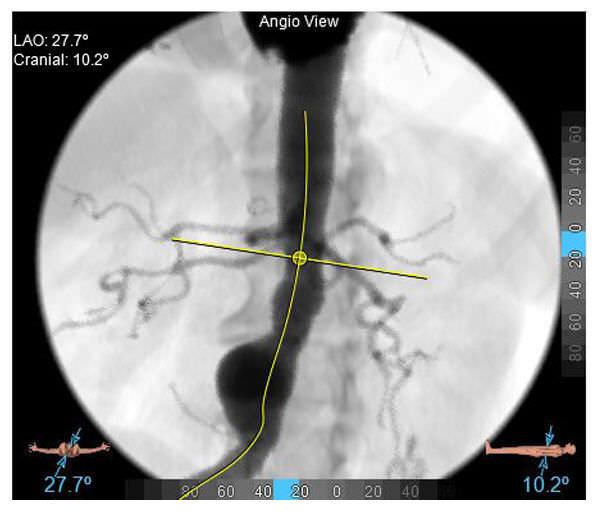 Health Management and Leadership Portal | Reporting software / analysis ...