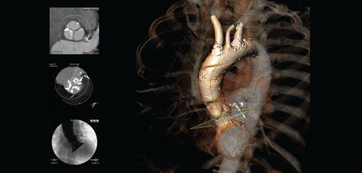 Health Management and Leadership Portal | Reporting software / analysis ...