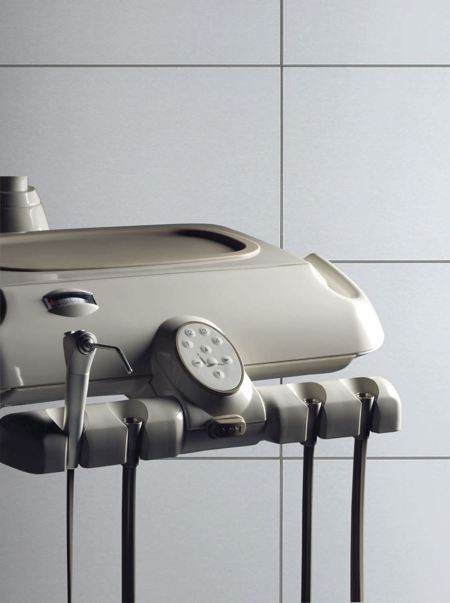 Health Management and Leadership Portal | Dental delivery system ...