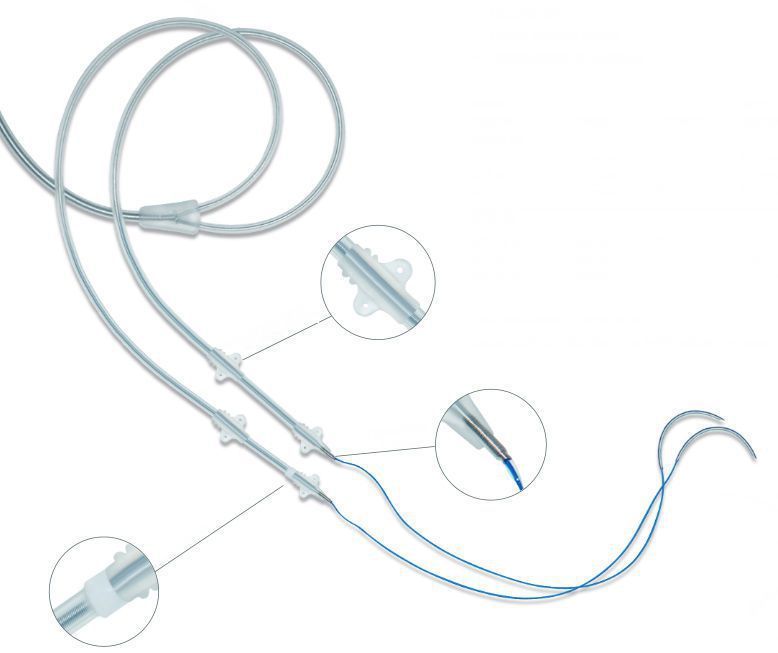 Health Management and Leadership Portal | Cardiac stimulation lead ...