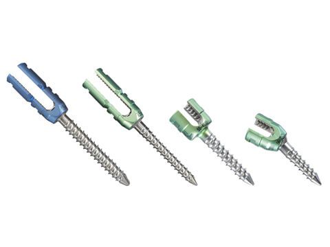 Health Management and Leadership Portal | Human external fixation ...