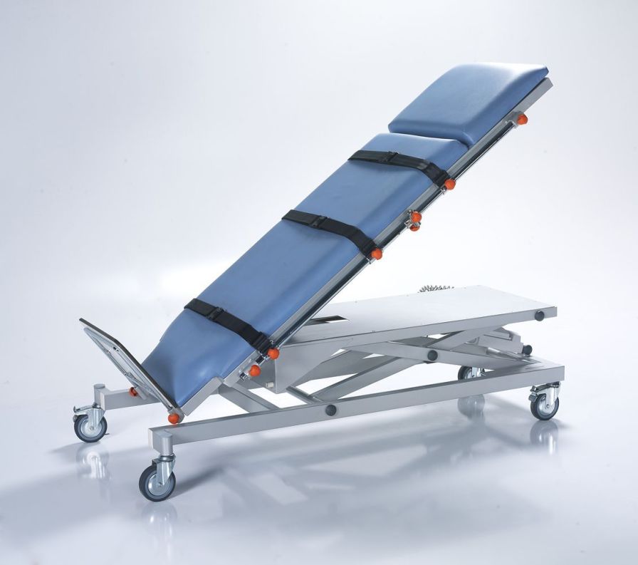 Health Management and Leadership Portal | Transport stretcher trolley ...