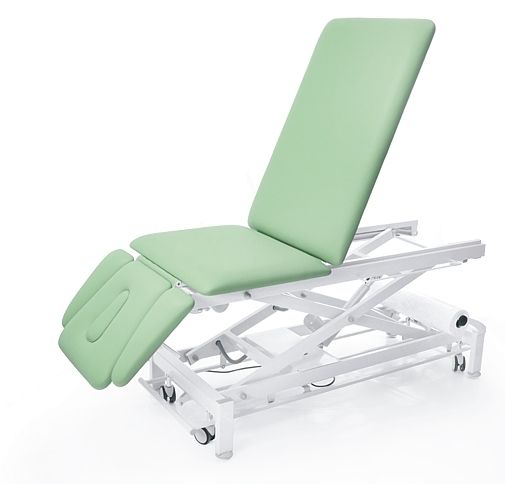 Health Management and Leadership Portal | Electrical massage table / on ...