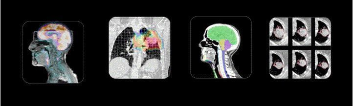 Health Management and Leadership Portal | Reporting software / medical ...