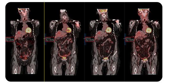 Health Management and Leadership Portal | Reporting software / medical ...