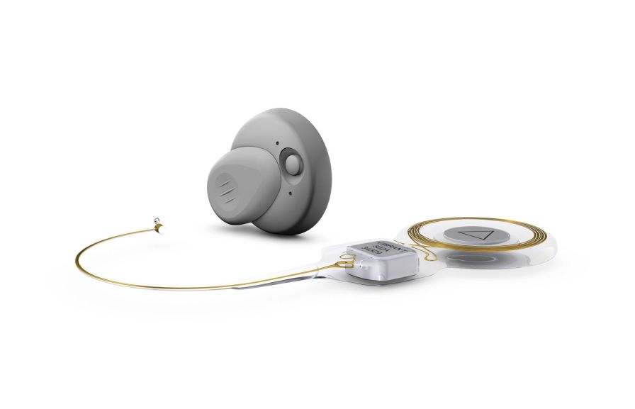 Health Management and Leadership Portal | Internal part middle ear ...