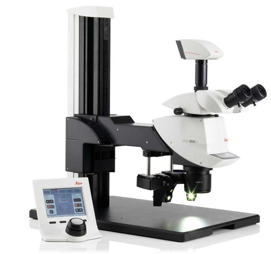 Health Management and Leadership Portal | Laboratory stereo microscope ...