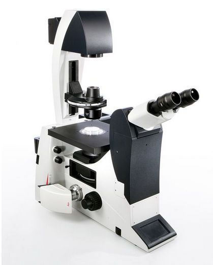 Health Management and Leadership Portal | Digital camera / for ...